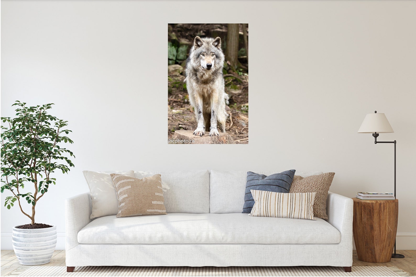 Grey Wolf Wall Art, Timber Wolf, Animal Photography, Wolf Photo, Wolf ...