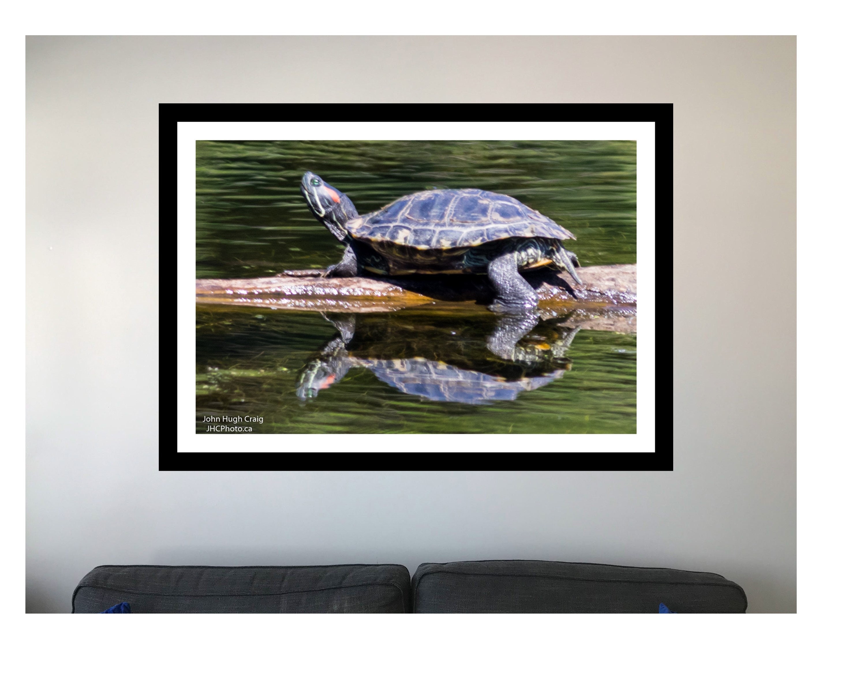 Turtle Print, Turtle Photo, Painted Turtle Decor, Basking, Turtle on ...