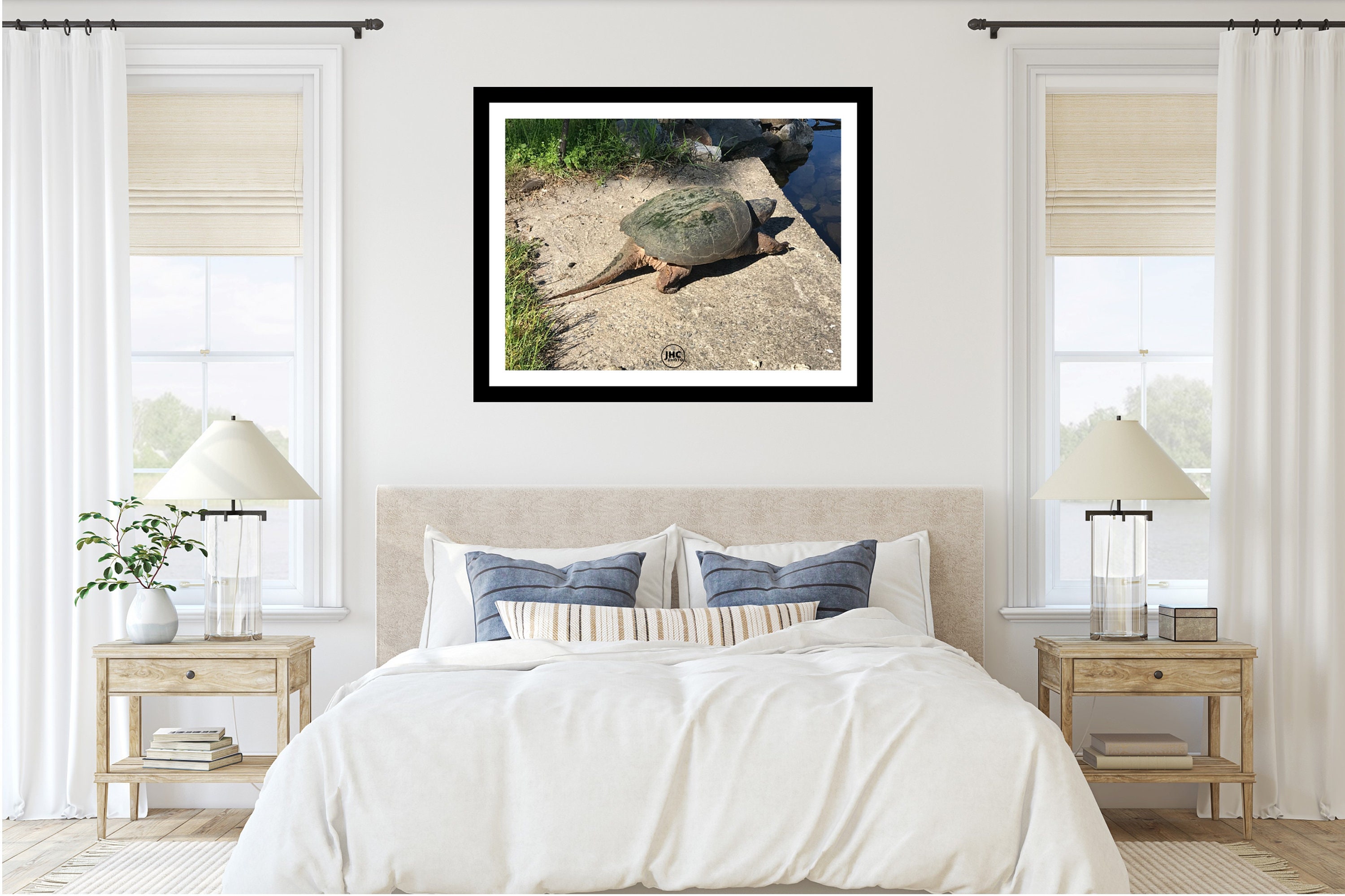 Snapping Turtle Print, Turtle, Turtle Gifts, Turtle Print, Turtle Photo ...