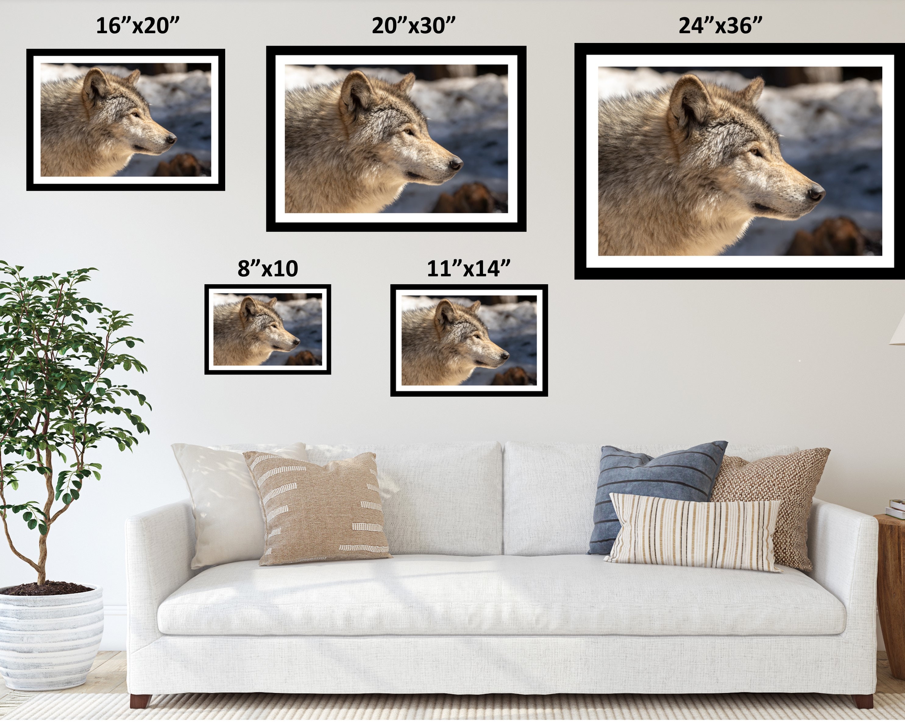 Grey Wolf Wall Art Print Wolf Photo Print Wolf Love Nature - Etsy