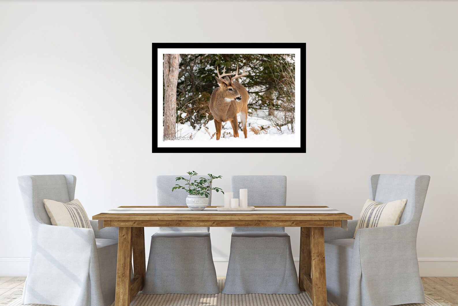 Deer Print, Buck Deer, Deer Art, Animal Deer, Deer Antlers, Whitetail ...