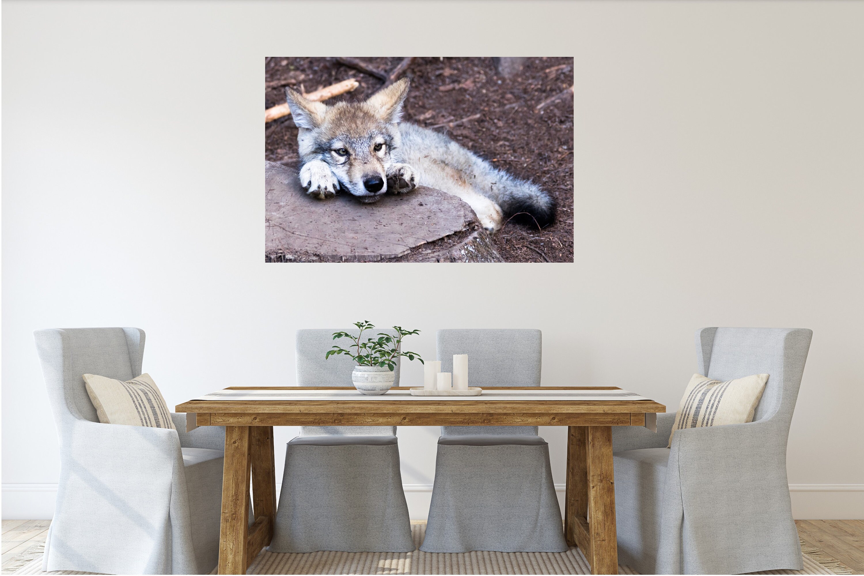 Grey Wolf Pup Wall Art Canvas, Wolf Wall Decor, Nature Lover, Wolf ...
