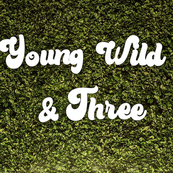 Young Wild and Three Groovy Birthday Decorations - Etsy