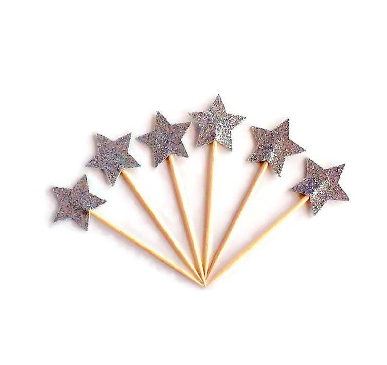 Silver Star Cupcake Toppers Set of 12 Twinkle Twinkle | Etsy