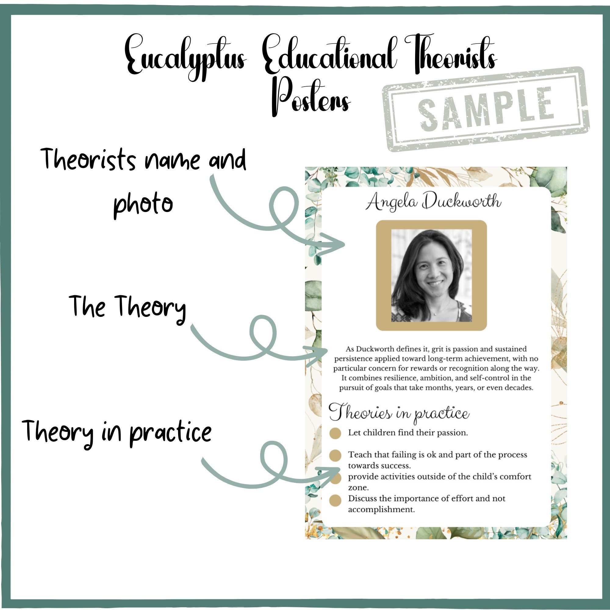 Early Years Theorists Display Posters: Classroom Decor for Australian ...