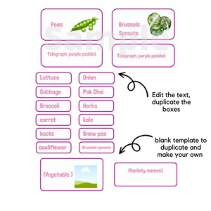 Vegetable Seed Storage Labels - Etsy