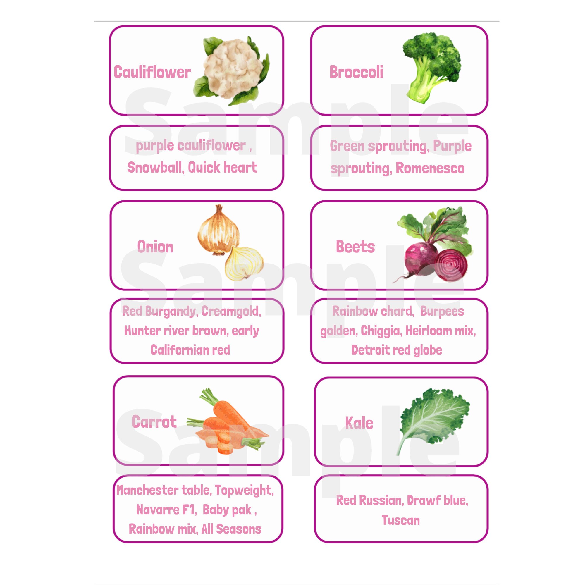 Vegetable Seed Storage Labels - Etsy