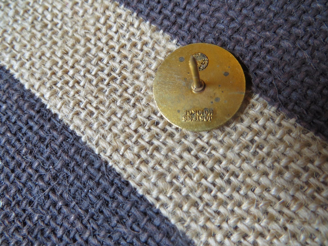 Lions Club 20 Year Member Lapel Pin | Etsy