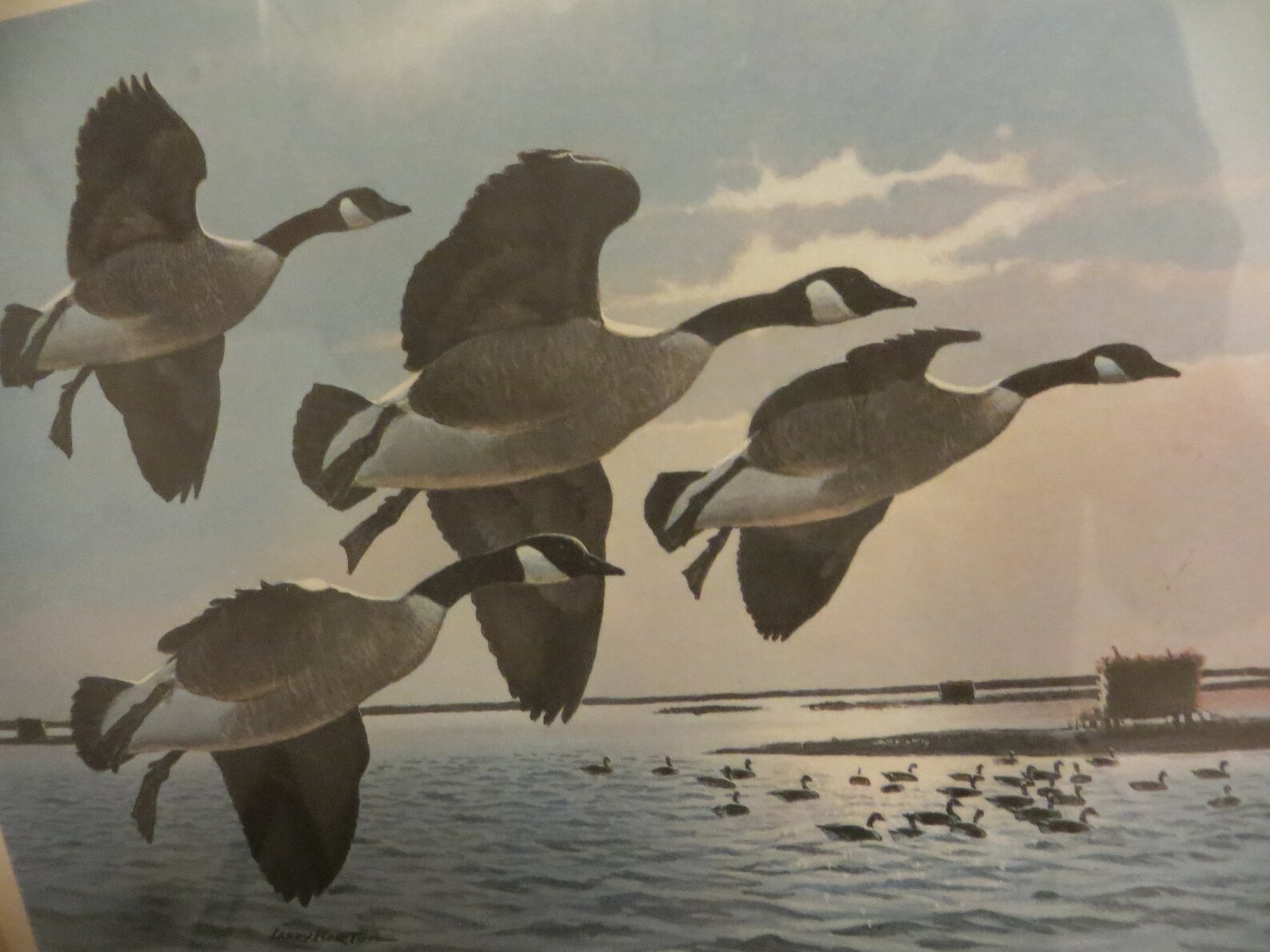 New York Duck Stamp & Print by Waterfowl Artist Larry Barton | Etsy