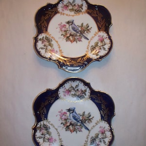 Pair of Fine China Plates W/ Birds and Flowers, Please Read Description ...