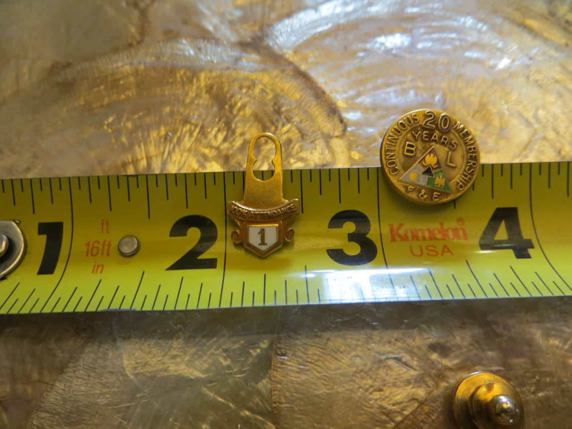 Lions Club 20 Year Member Lapel Pin | Etsy