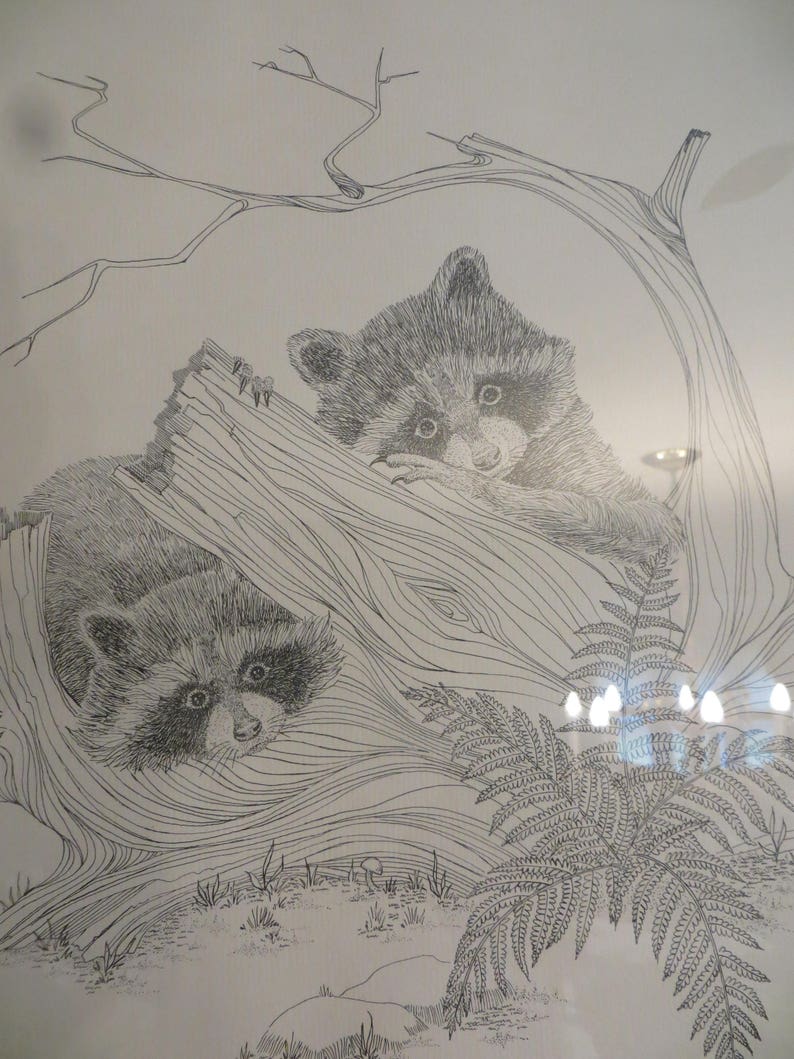 Bill Neat Raccoon Drawing Framed Forest Art 14 1/2 x 11 - Etsy