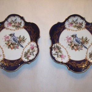 Pair of Fine China Plates W/ Birds and Flowers, Please Read Description ...