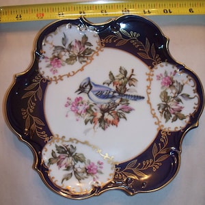 Pair of Fine China Plates W/ Birds and Flowers, Please Read Description ...