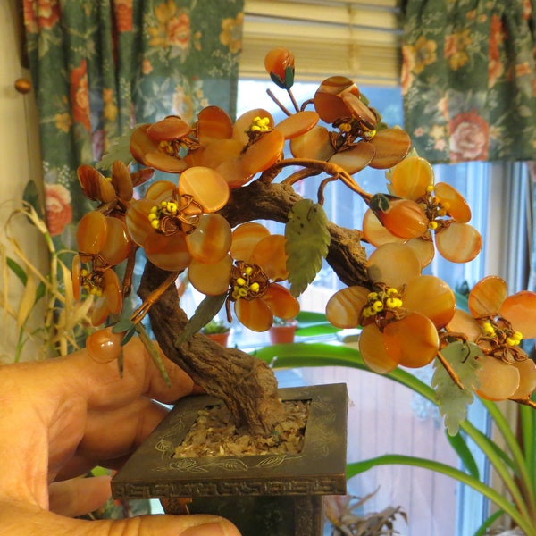 Jade Tree - Etsy