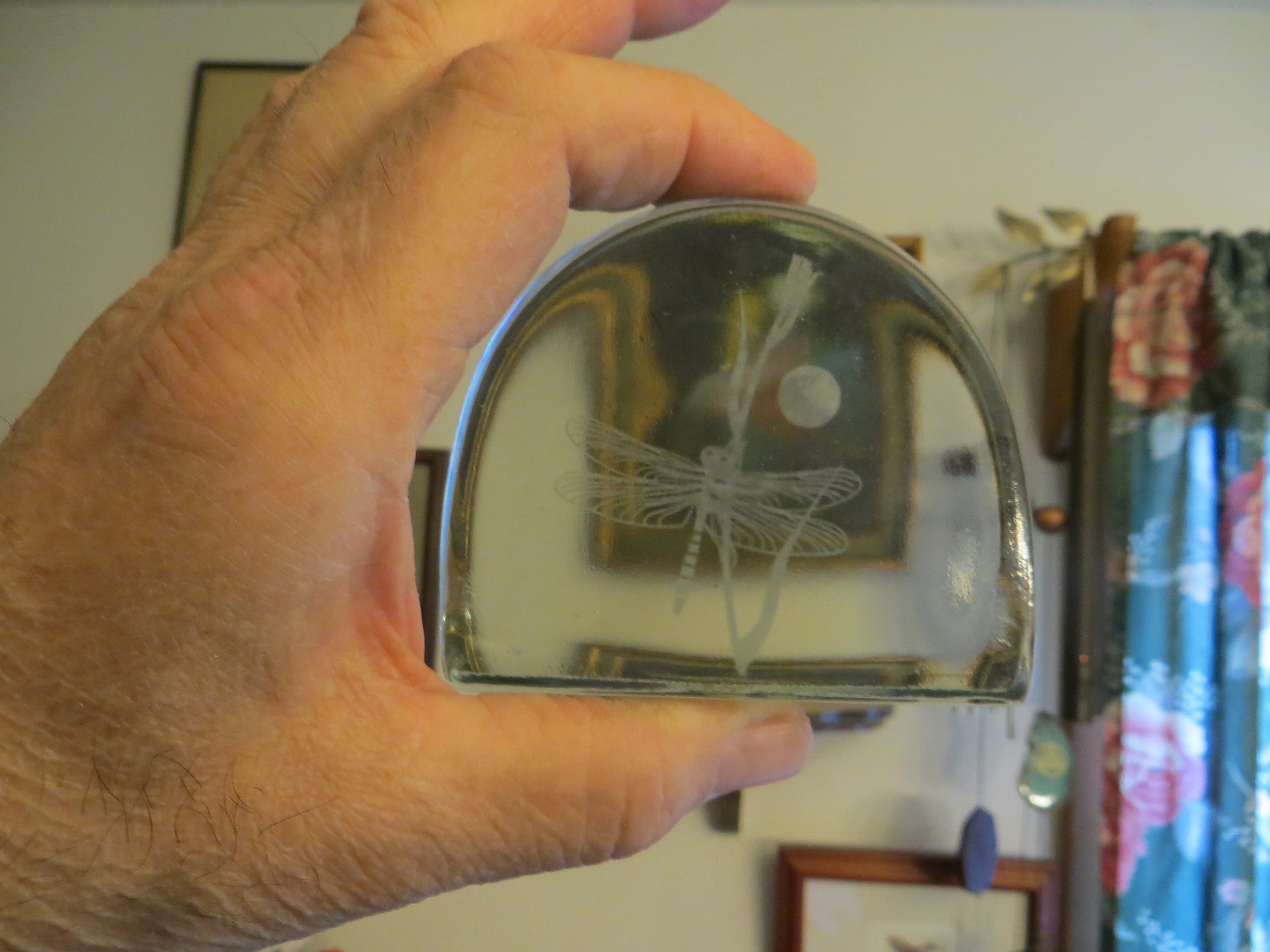 Vintage Dragonfly Glass Paperweight , Please Read Description - Etsy
