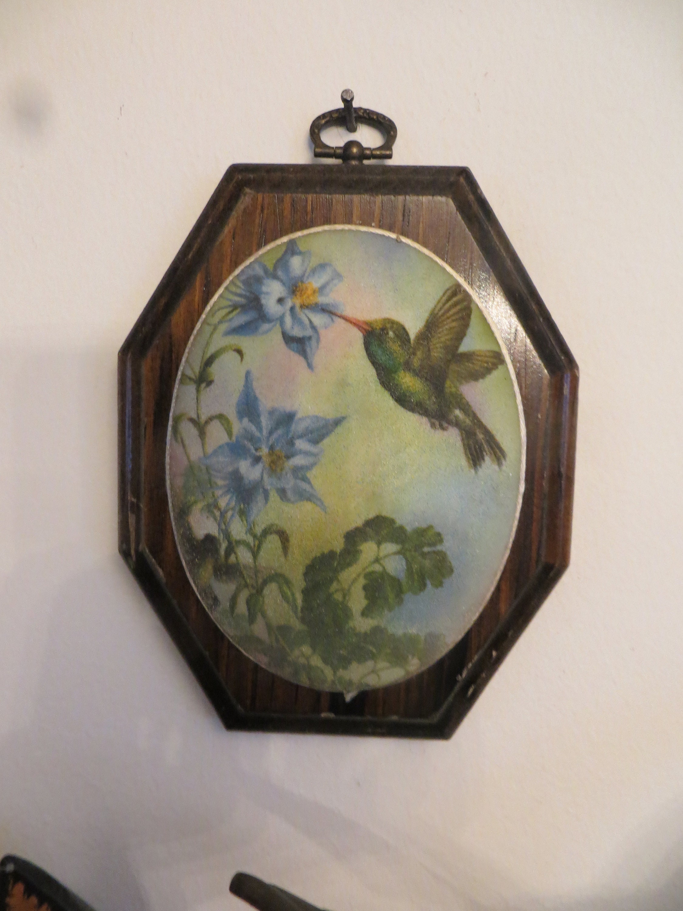 Vintage Hummingbird Plaques Bird Wall Decor Pair | Etsy