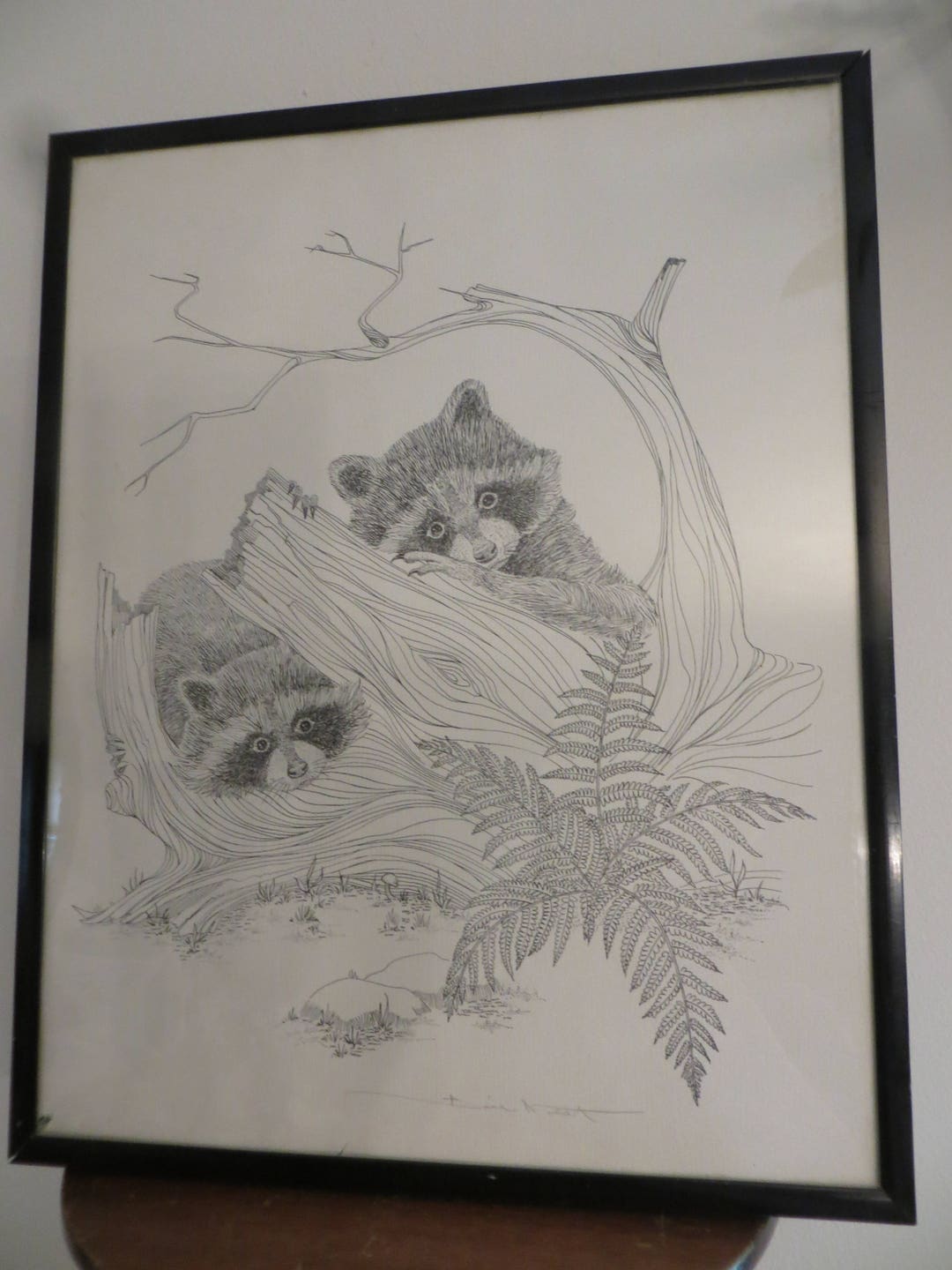 Bill Neat Raccoon Drawing Framed Forest Art 14 1/2 "x 11 1/2" - Etsy