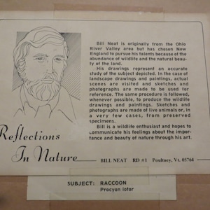 Bill Neat Raccoon Drawing Framed Forest Art 14 1/2 "x 11 1/2" - Etsy