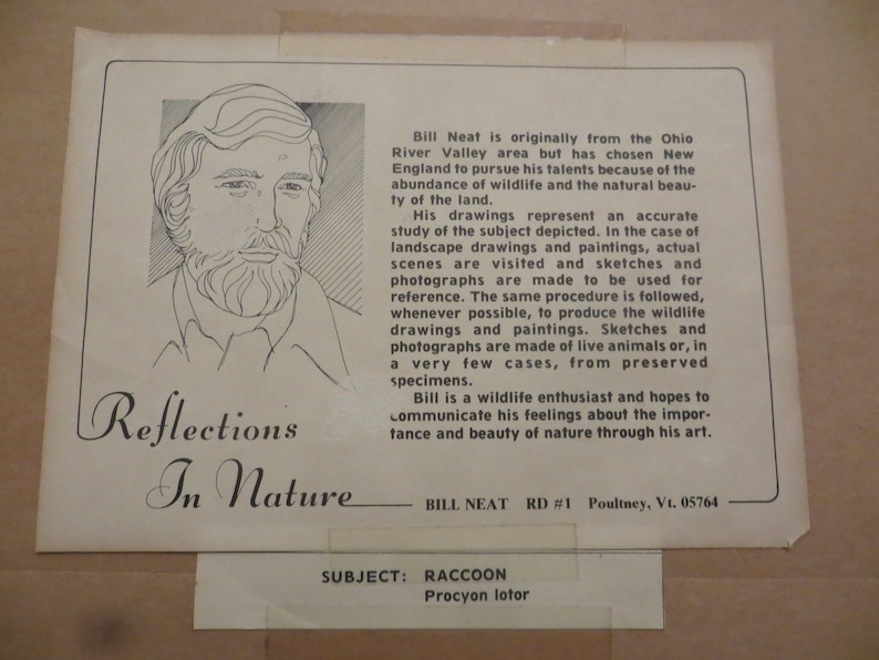 Bill Neat Raccoon Drawing Framed Forest Art 14 1/2 x 11 - Etsy