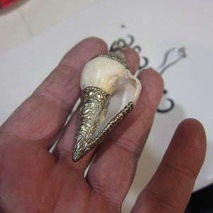 Vintage Shankha Conch Shell, Tibetan Buddhist Ritual Symbol of Water - Etsy