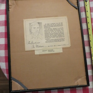 Bill Neat Raccoon Drawing Framed Forest Art 14 1/2 "x 11 1/2" - Etsy