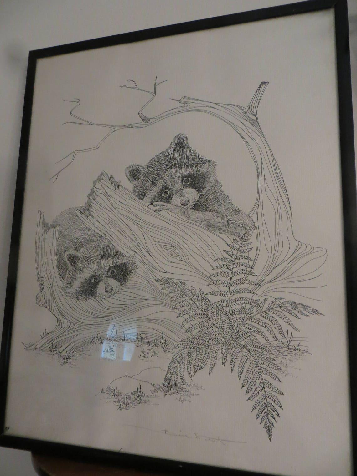 Bill Neat Raccoon Drawing Framed Forest Art 14 1/2 x 11 - Etsy