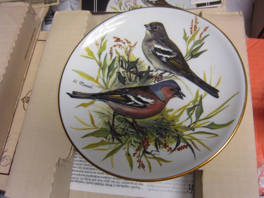 Song Birds of Europe by Ursula Band Plate Porcelain Plates - Etsy