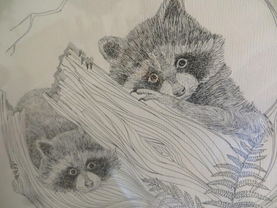 Bill Neat Raccoon Drawing Framed Forest Art 14 1/2 x 11 | Etsy
