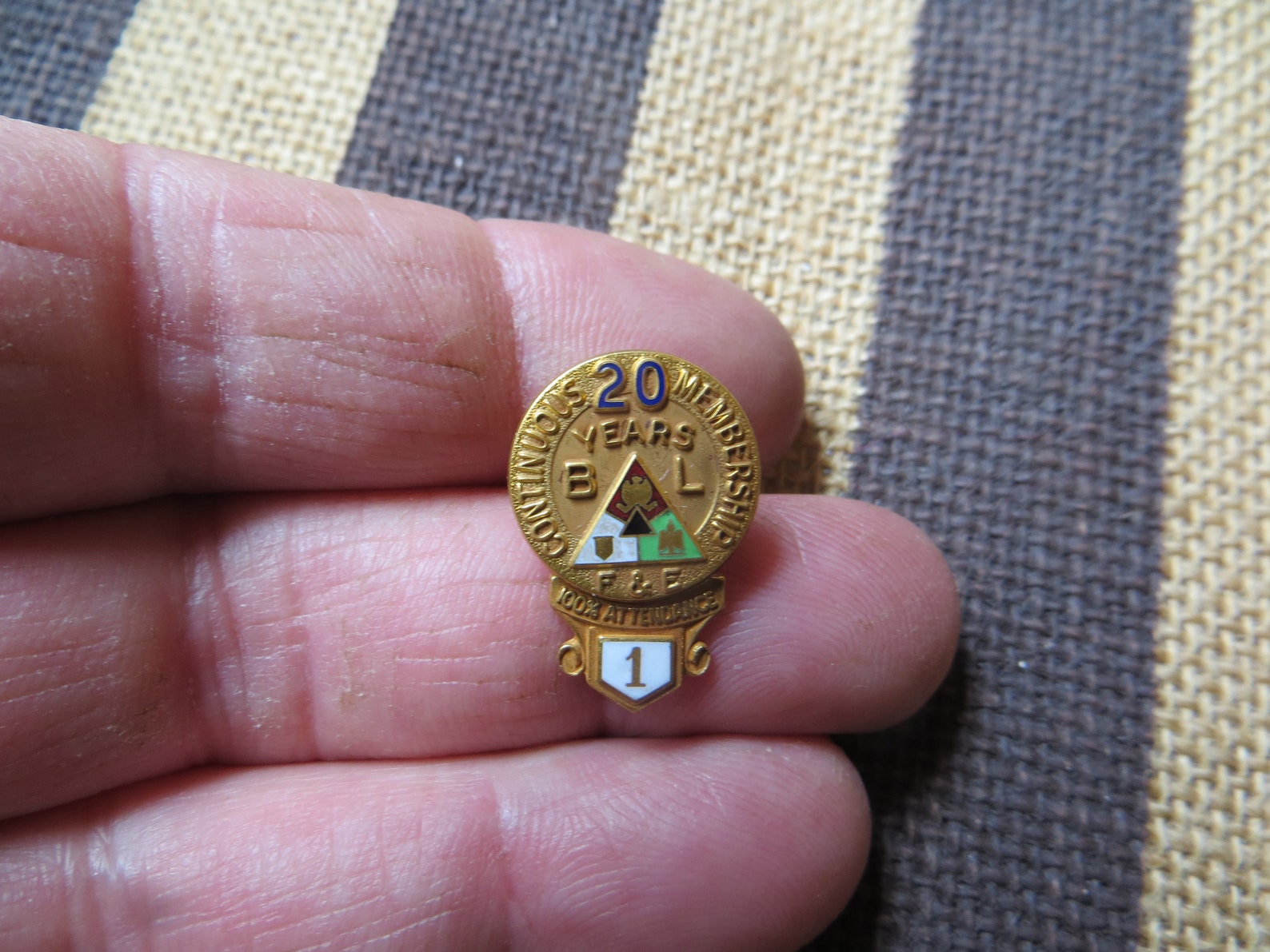 Lions Club 20 Year Member Lapel Pin - Etsy