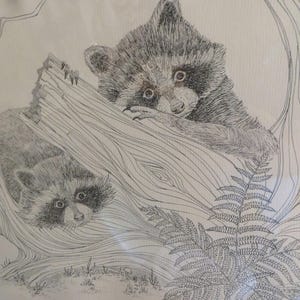 Bill Neat Raccoon Drawing Framed Forest Art 14 1/2 "x 11 1/2" - Etsy