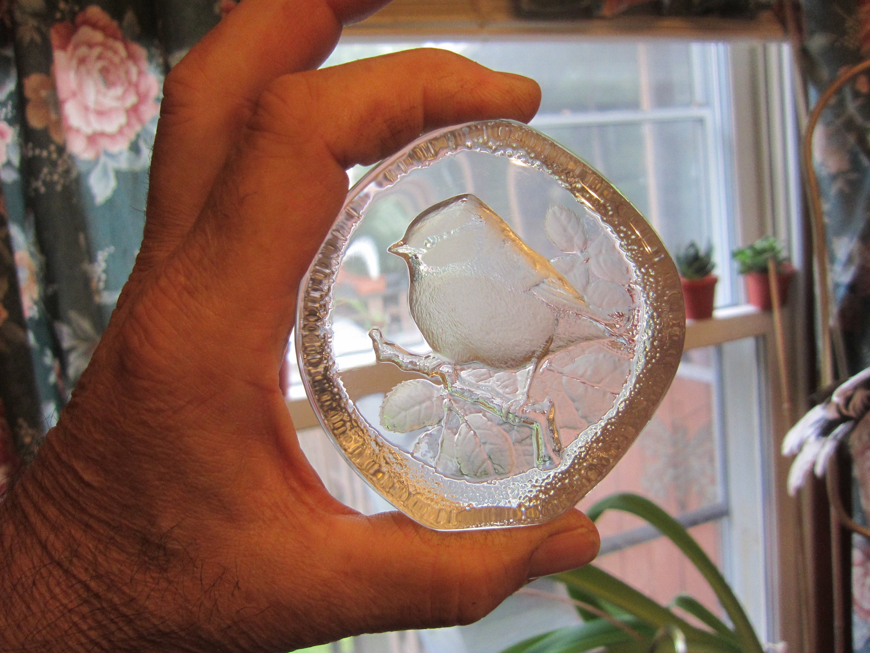 Wildlife in Glass Crystal Bird Signed Numbered Paperweight - Etsy