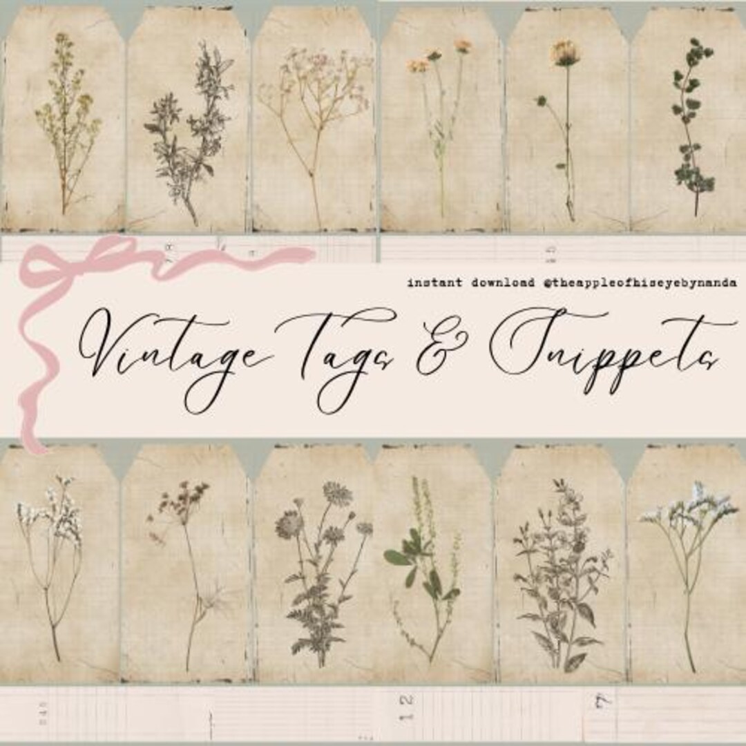 Vintage Journaling Tags & Snippets |bible Journaling | Ephemera | Junk ...
