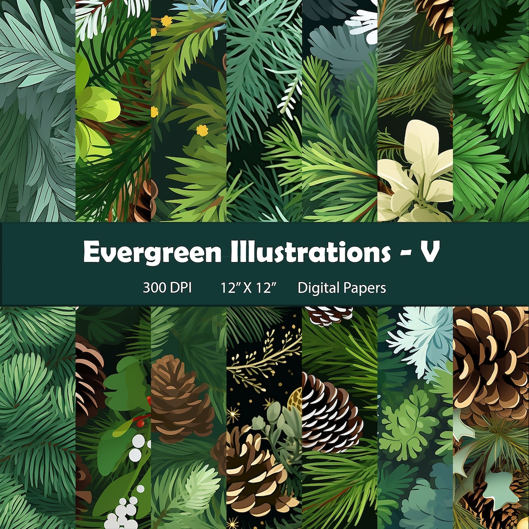 Evergreen Illustrations V 15 Seamless Patterns & Digital Papers - Etsy
