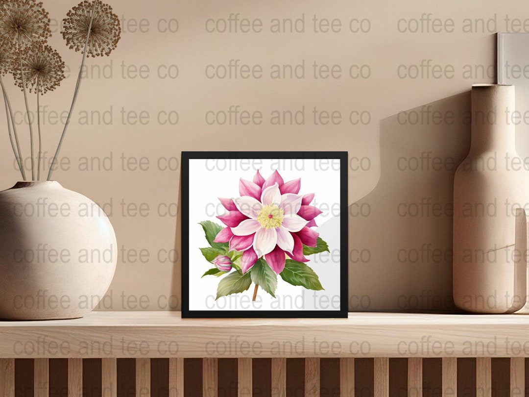 Bitterroot, Montana, Watercolor Floral Collection, U.S. State Flowers ...