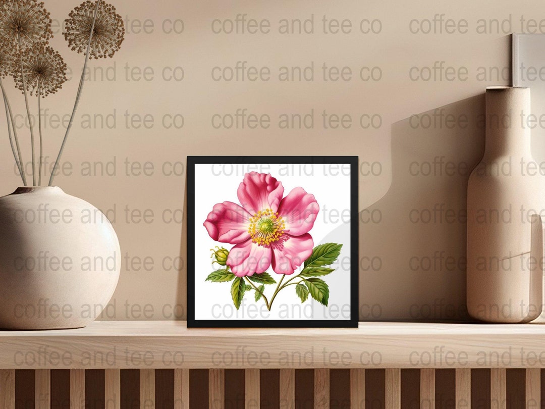 Wild Prairie Rose, North Dakota, Watercolor Floral Collection, U.S ...