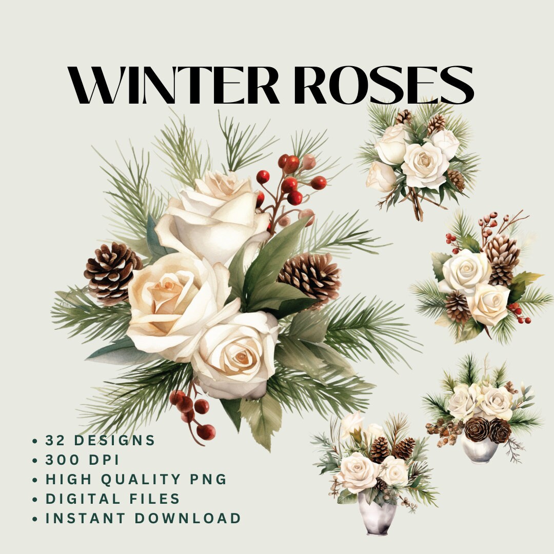 Winter Roses, Watercolor PNG, Clipart Pack - 32 Pngs White Roses, Pine ...