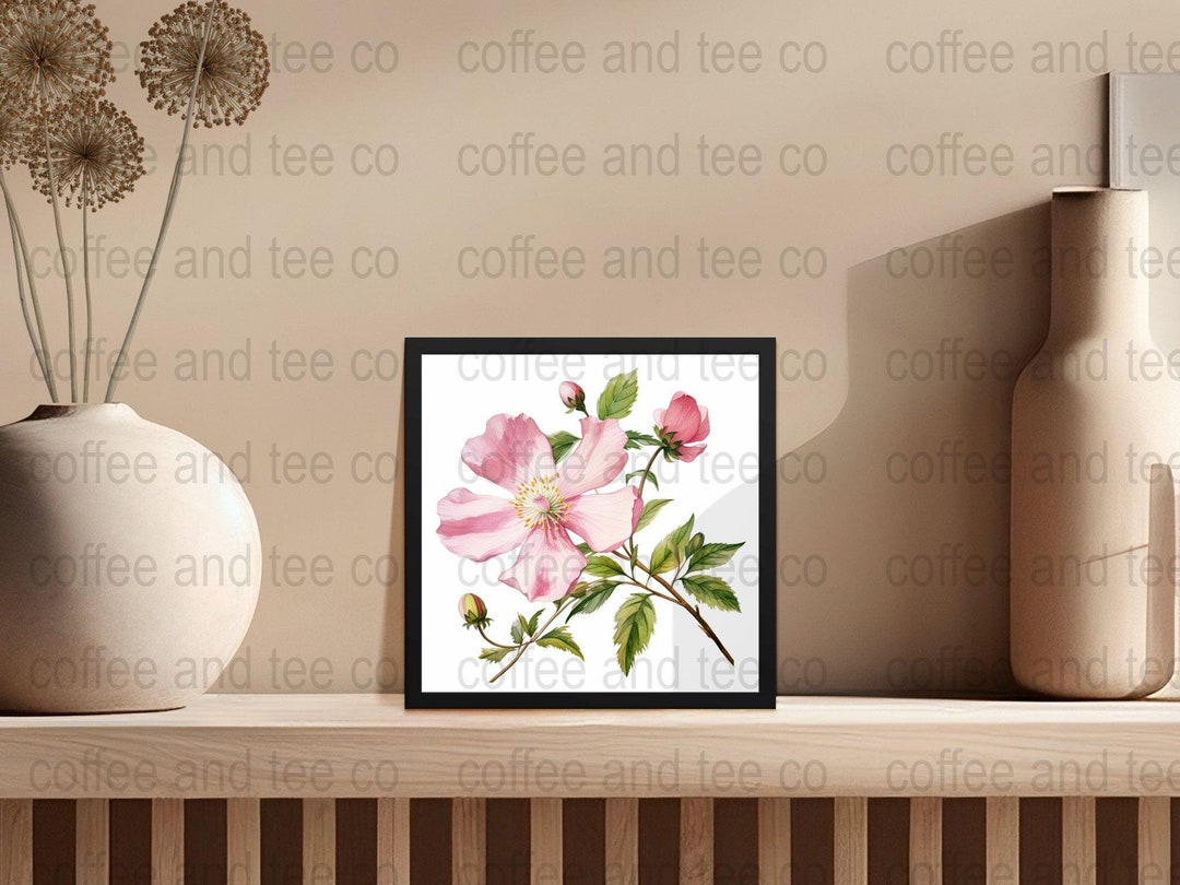 Wild Prairie Rose, Iowa, Watercolor Floral Collection, U.S. State ...