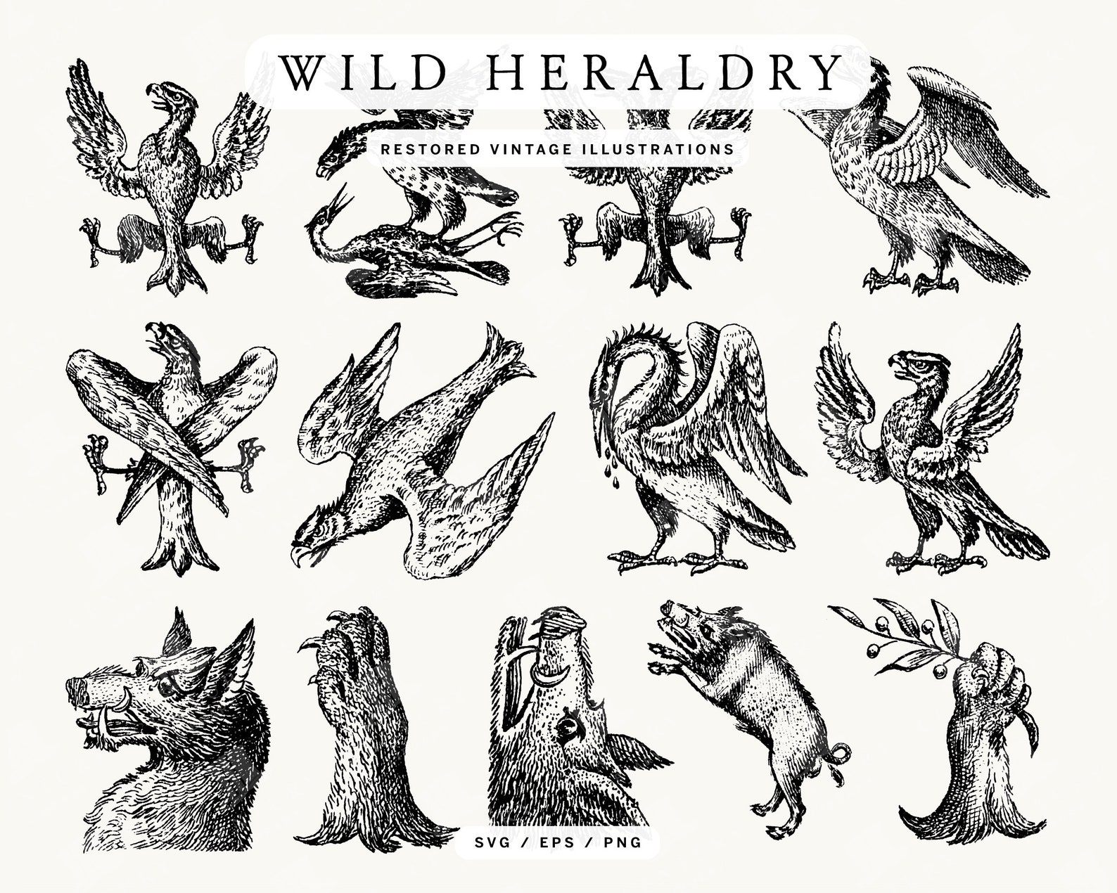 Hand Drawn Heraldry Animal Illustrations - Various Birds, Eagles, Wild ...