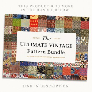 Decorative Digital Papers Pack, Detailed Floral Art Backgrounds, Print ...