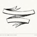 Vintage Ribbon and Banner Line Art Illustrations - Decorative and ...