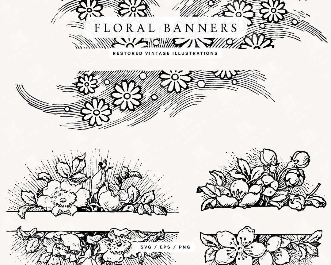 Floral Banner Divider Line Art Illustrations for Wedding Invitations ...