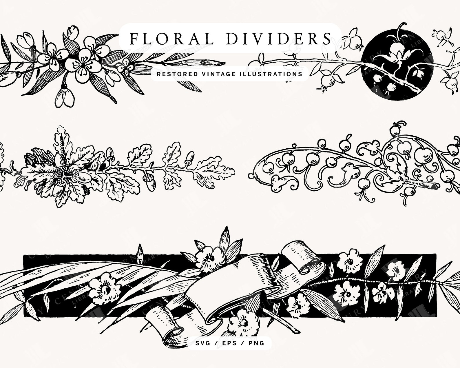 Vintage Botanical Dividers for Invitations, Print Design, Scrapbooking ...