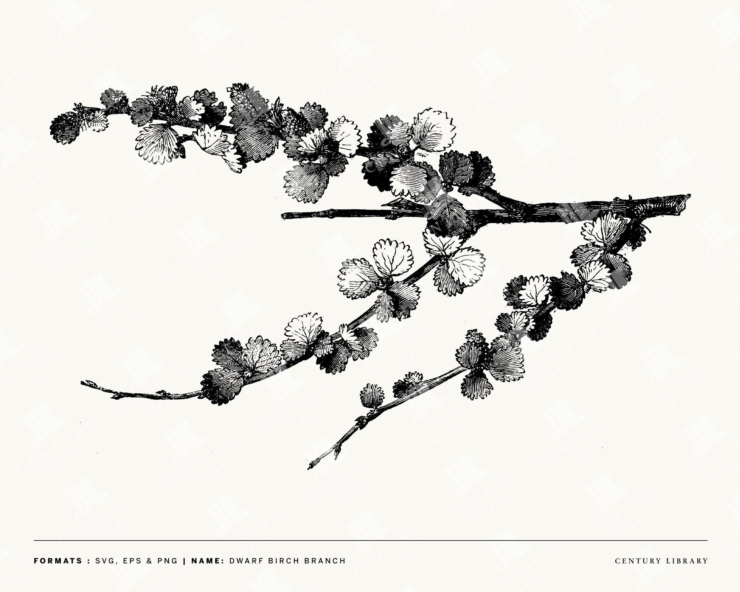 Twigs and Tree Branch SVG Line Art Illustrations PNG and EPS Formats ...