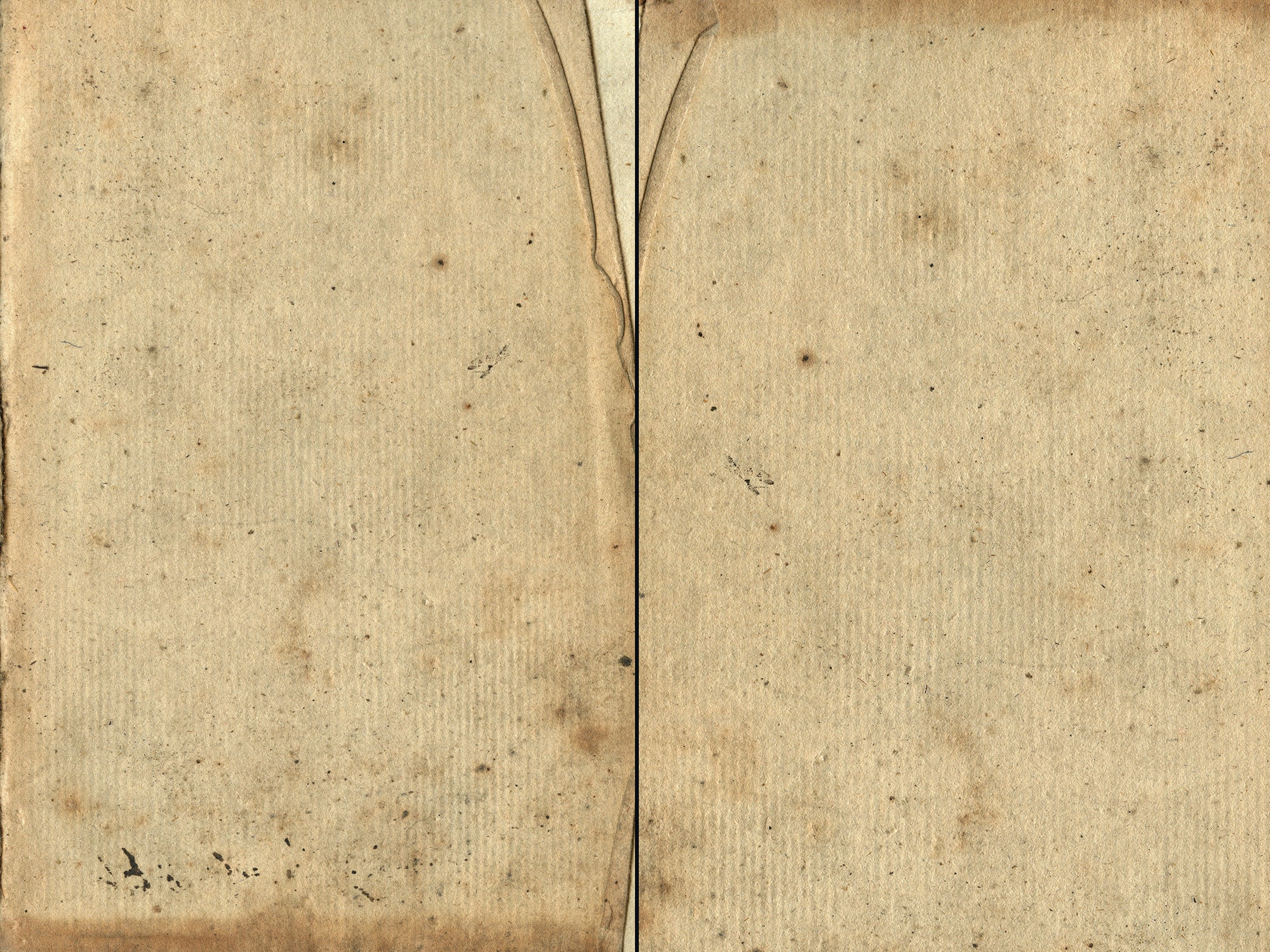 Old Paper Textures From an Antique Notebook, Vintage Distressed Paper ...