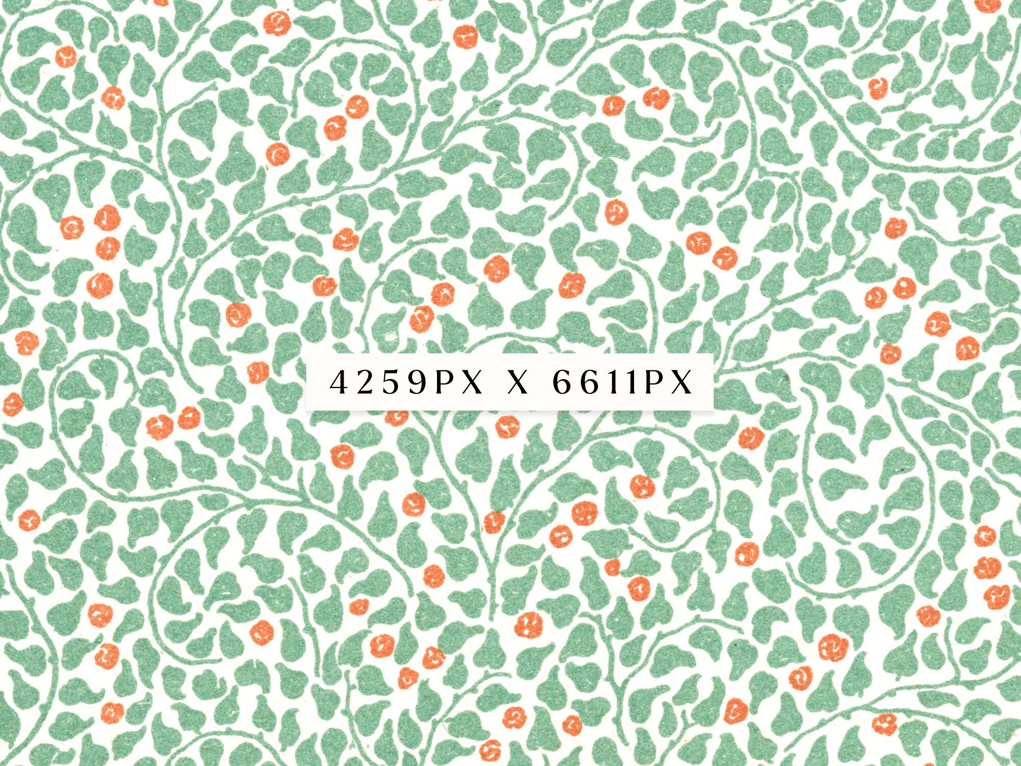 Botanical Digital Papers, Hand Drawn Downloadable Floral Patterns for ...