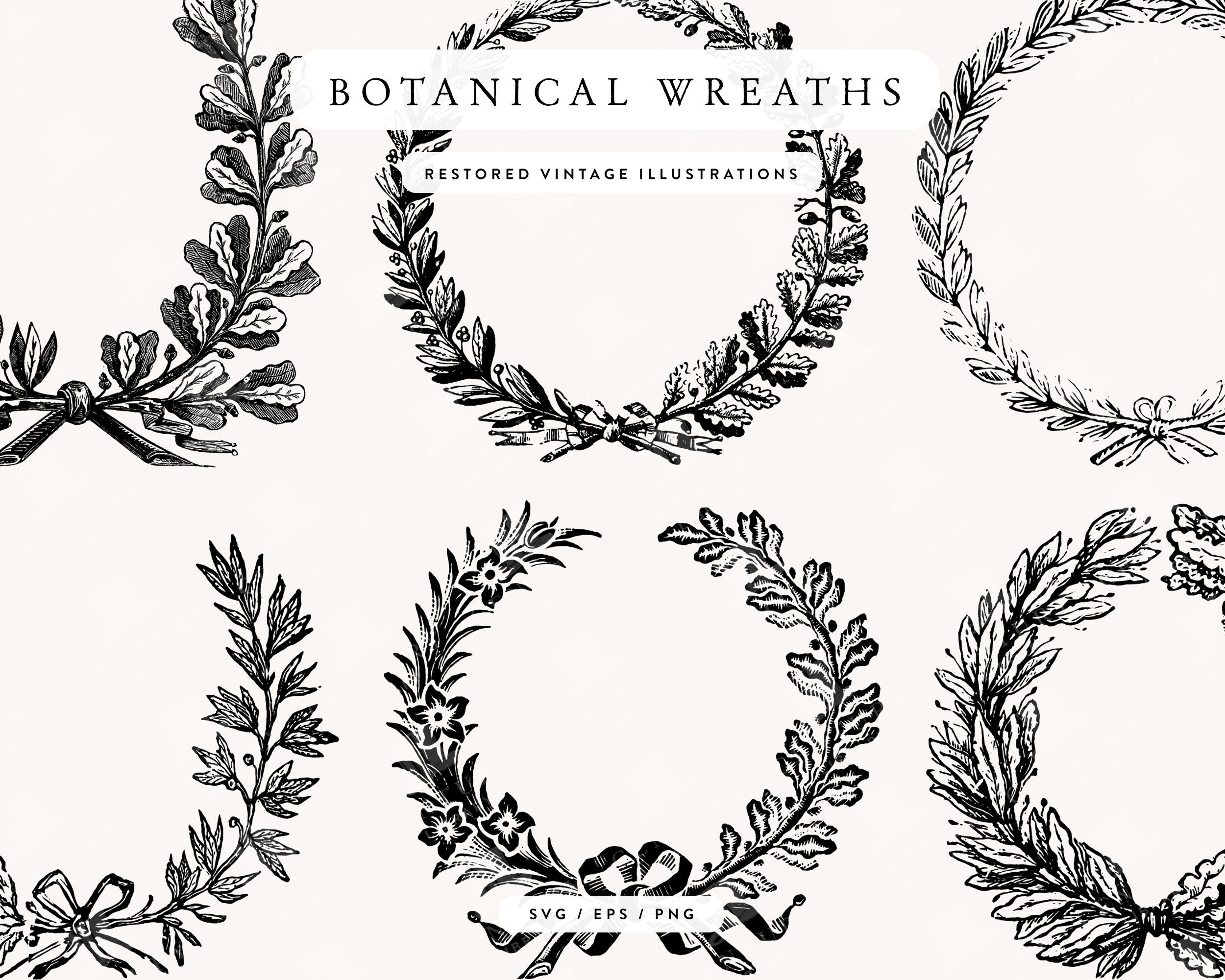 Botanical Laurel Wreath PNG and SVG Designs Vintage Hand-drawn Design ...