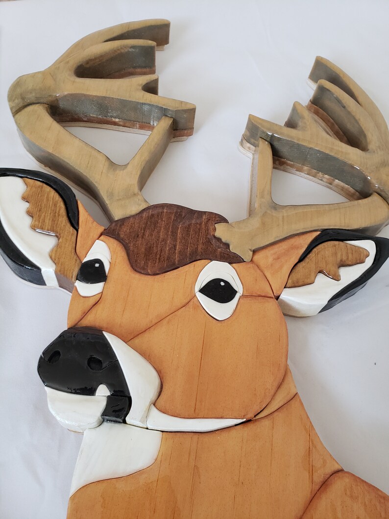 Intarsia Whitetail Buck Deer Head, Solid Pine Wall Hanging - Etsy