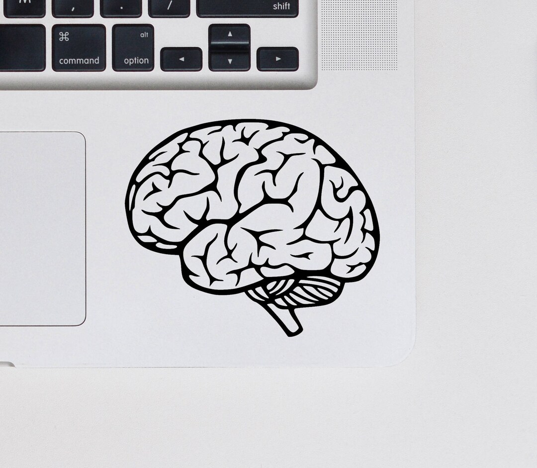Anatomical Brain Decal, Laptop Sticker, Brain MacBook Decal, Removable ...