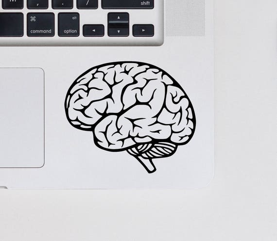 Anatomical Brain Decal Laptop Sticker Brain Macbook Decal | Etsy